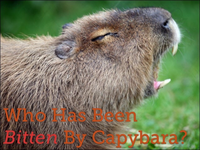 Capybara Fill In Method