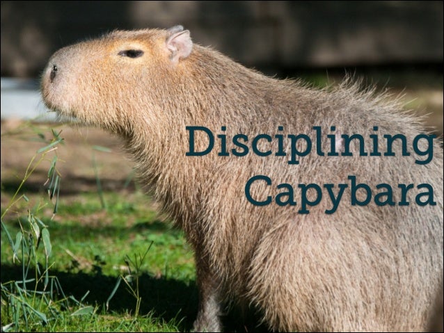 Embracing Capybara