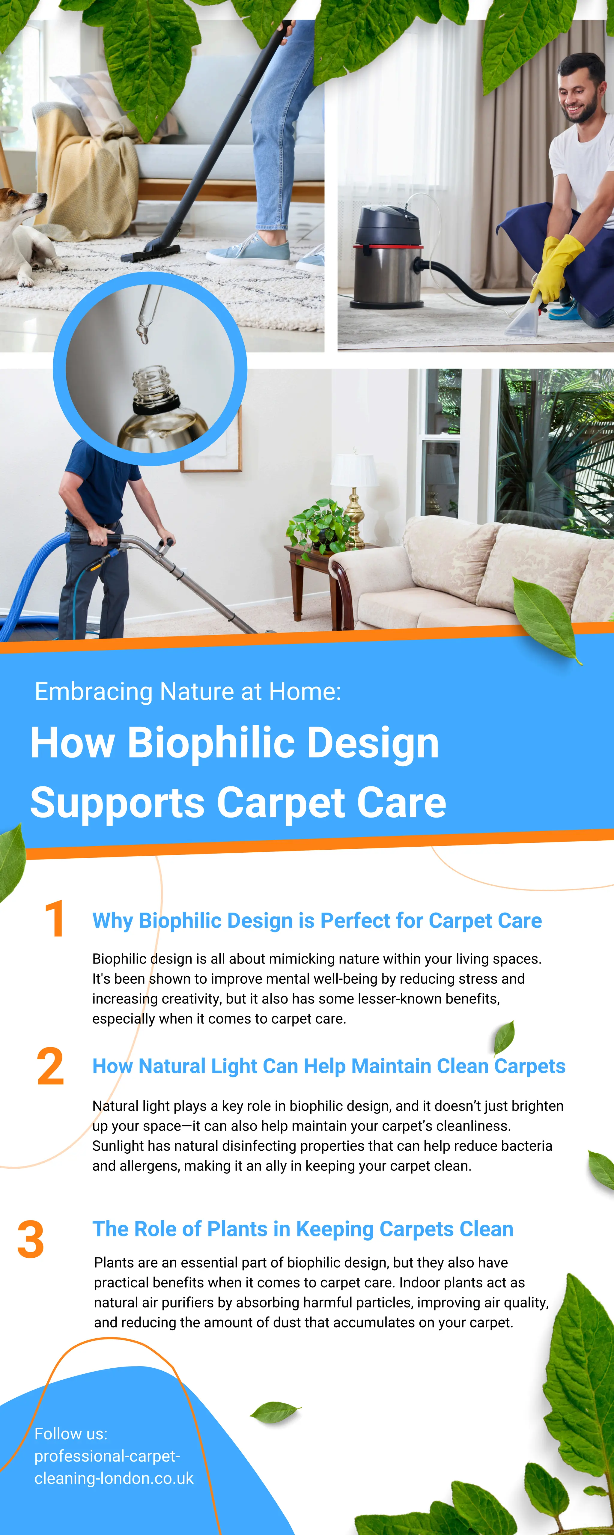 Embracing Nature at Home How Biophilic Design Supports Carpet Care.pdf