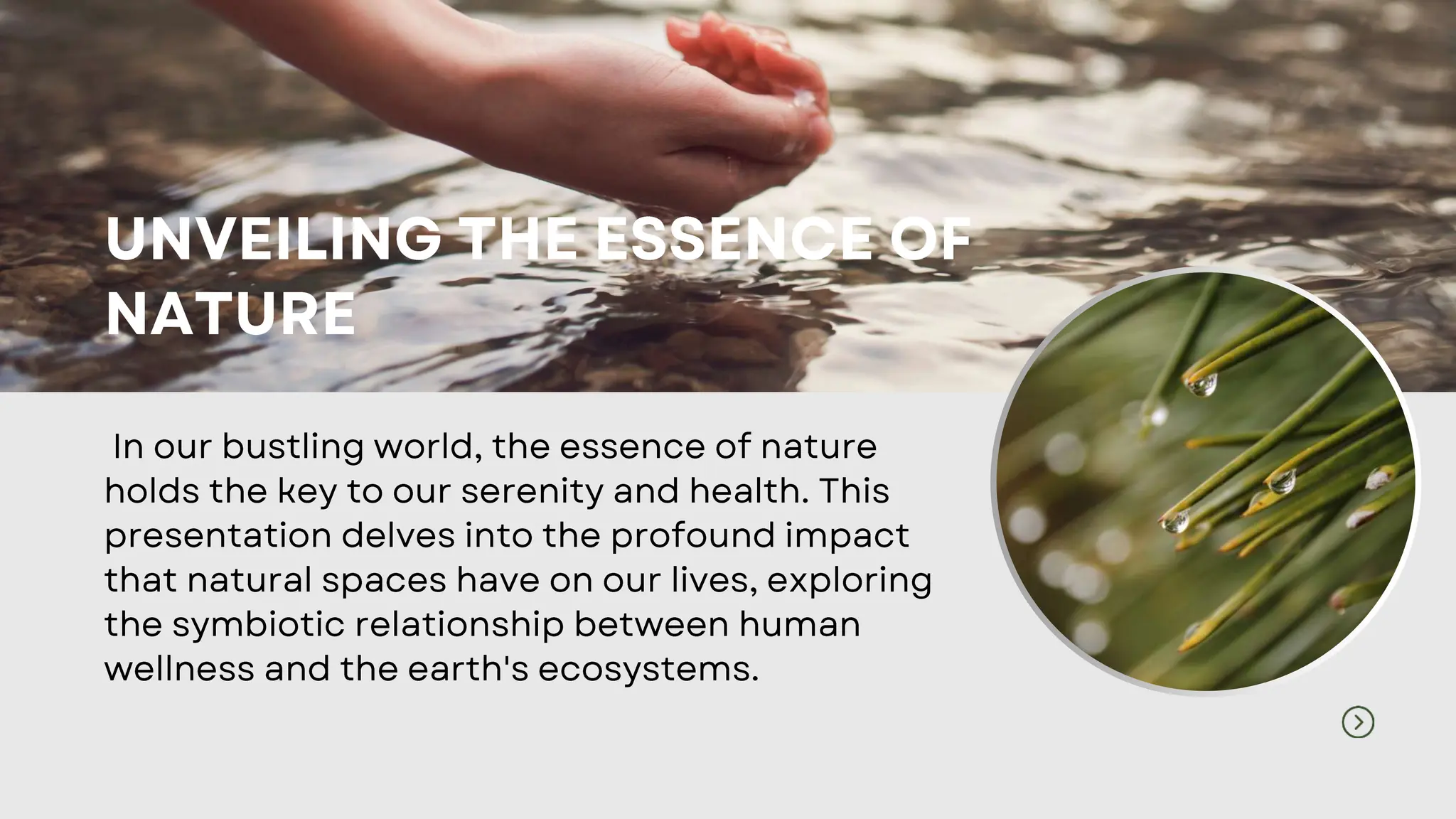 Embracing the Healing Power of Nature - marta loveguard.pptx