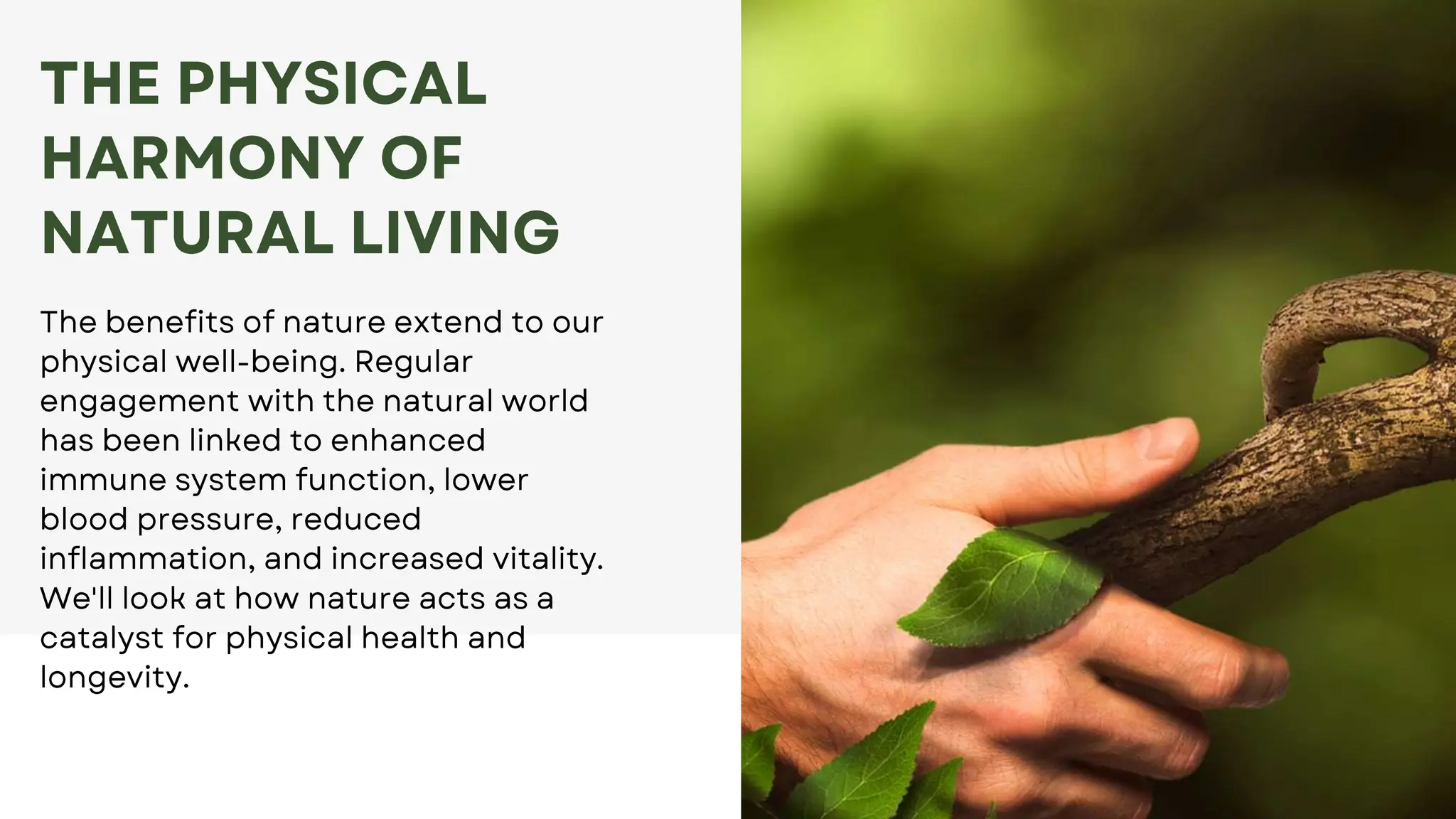 Embracing the Healing Power of Nature - marta loveguard.pptx