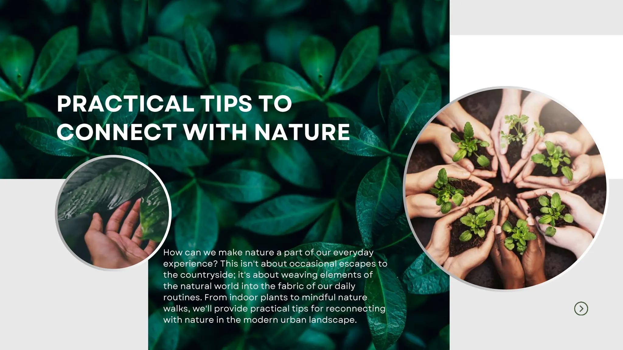 Embracing the Healing Power of Nature - marta loveguard.pptx
