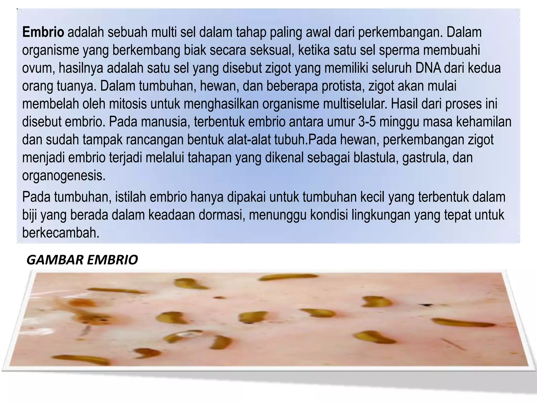 tahap perkembangan embrio pada makhluk hidup | PPTX