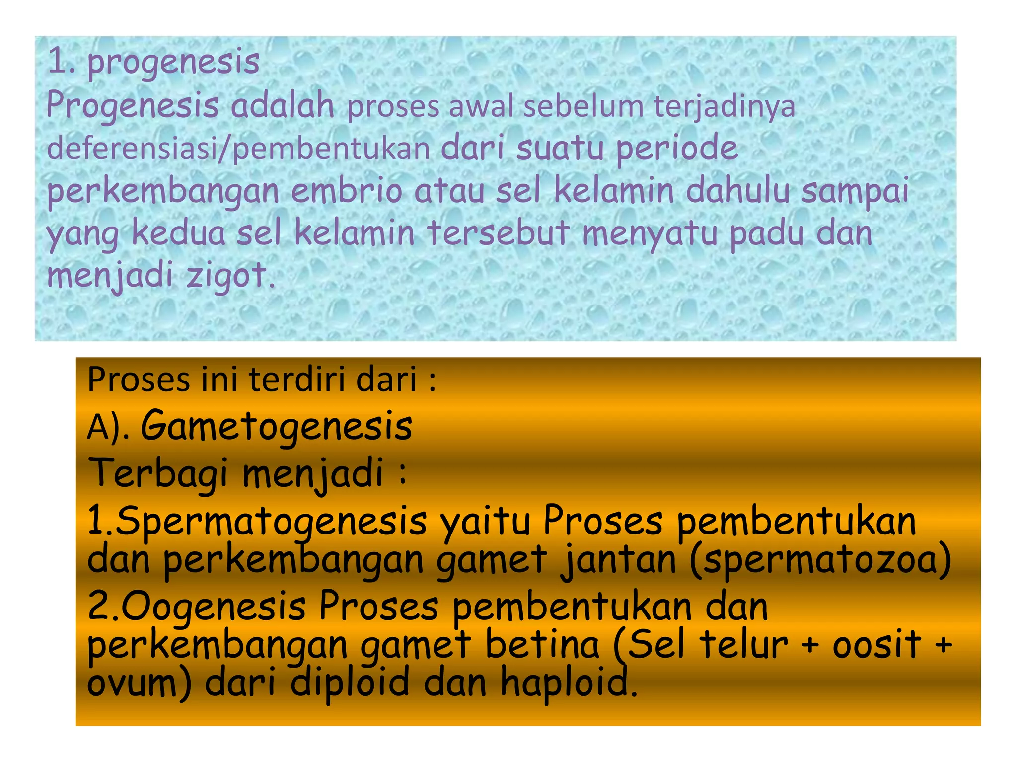 tahap perkembangan embrio pada makhluk hidup | PPTX