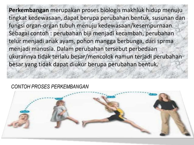 tahap perkembangan embrio pada makhluk hidup | PPTX