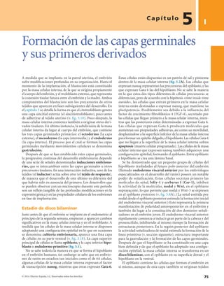 embriología humana y biologia del desarrollo- carlson | PDF