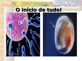 Embriogenese | PPT