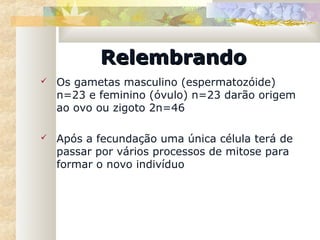Embriogenese | PPT