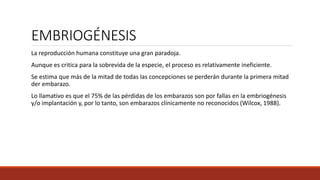 Embriogenesis | PPTX