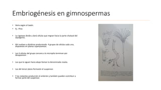 Embriogenesis powerpoint universidad moron.pdf