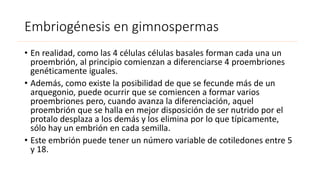 Embriogenesis powerpoint universidad moron.pdf