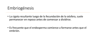 Embriogenesis powerpoint universidad moron.pdf
