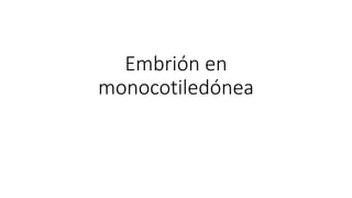 Embriogenesis powerpoint universidad moron.pdf