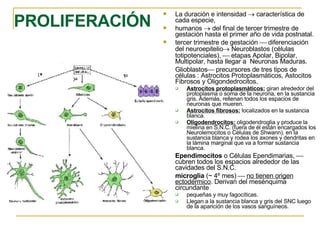 Embriogenesis Part 2 | PPT