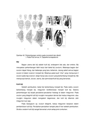 Embriogenesis dan struktur biji | PDF