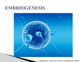 Embriogenesis, fecundacion e implantacion COMPLETA.pptx