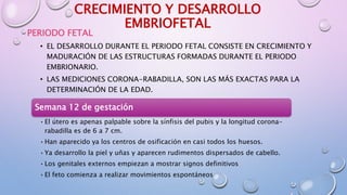EMBRIOGENESIS Y DESARROLLO MORFOLOGICO FETAL.pptx