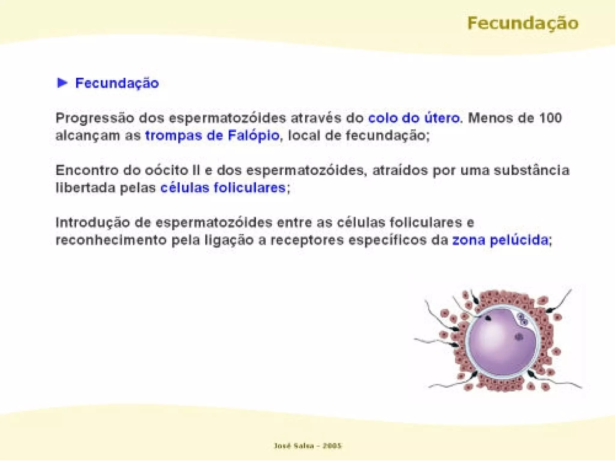 EmbriogêNese embryology embriologia | PPT | Biological Sciences | Science