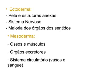 EmbriogêNese embryology embriologia | PPT