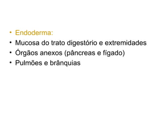 EmbriogêNese embryology embriologia | PPT