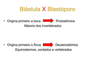 EmbriogêNese embryology embriologia | PPT