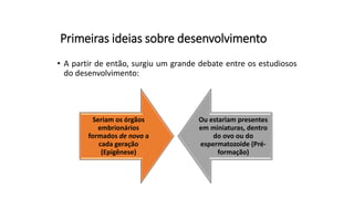Embriogênese e organogênese.pptx