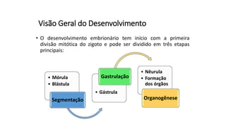 Embriogênese e organogênese.pptx