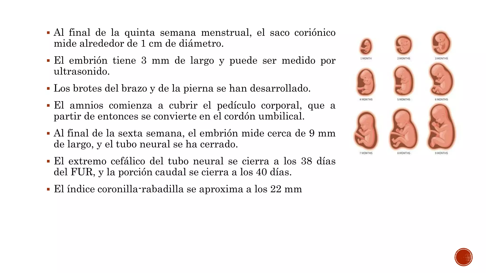 Embriogénesis y desarrollo fetal.pptx