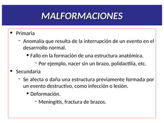 Desarrollo Del Sistema Nervioso Generalidades Ppt