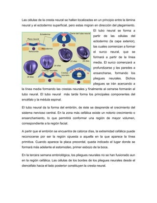Embriología | DOCX