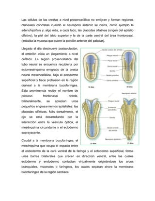 Embriología | DOCX