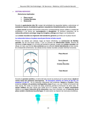 Embriología ERA 2 | DOCX