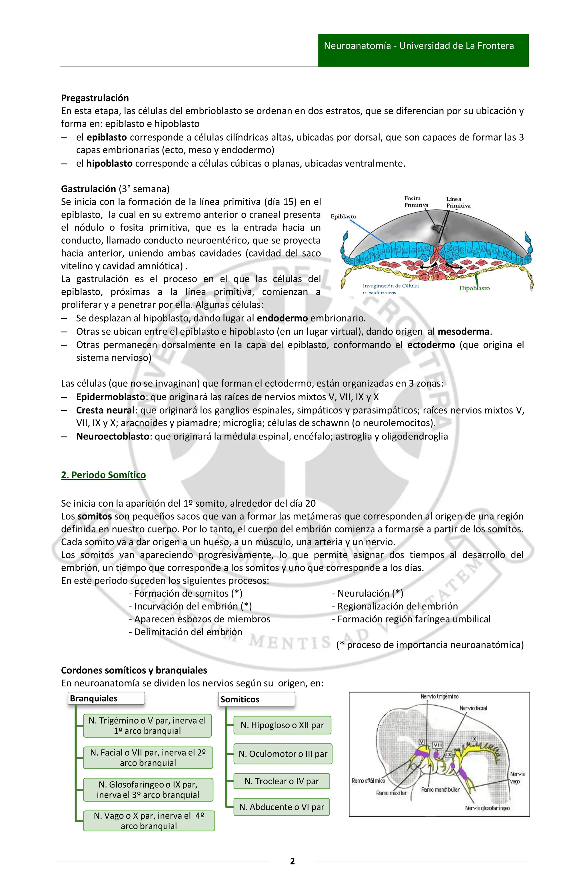 Embriología del sistema nerviosoooooooo.pdf