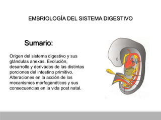 Embriología Digestivo.ppt