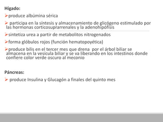 Embriología_Digestivo .ppt