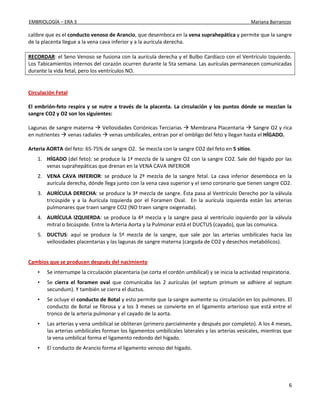 Embriología Cardiovascular y Digestiva - ERA 3 | DOCX