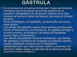 Embriología humana | PPT