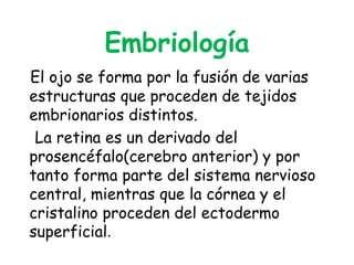 Embriología ocular | PPTX