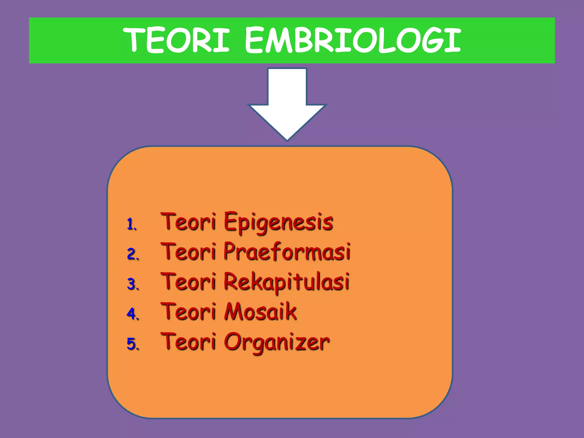 Embriologi | PPTX