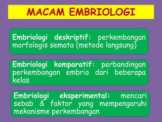 Embriologi | PPTX