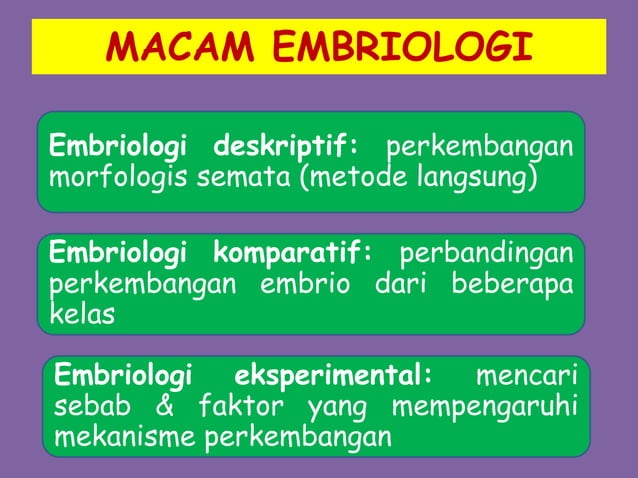 Embriologi | PPT