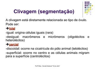 Embriologia | PPT