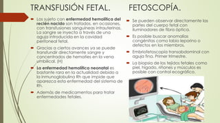 Embriologia | PPTX