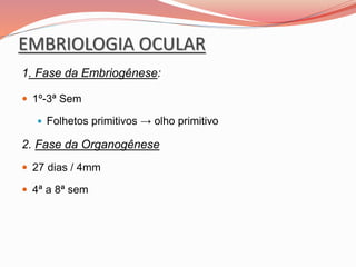 Embriologia.pptx