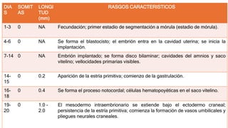 EMBRIOLOGIA ASPECTO EXTERNO DURANTE EL SEGUNDO MES | PPTX