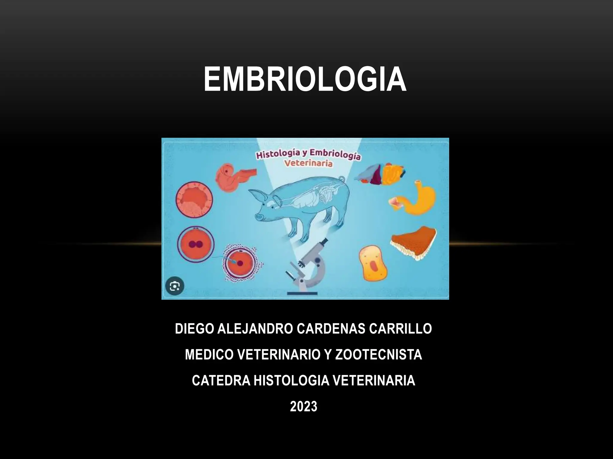 Embriologíabasicodemedicinaveterinaria.ptt