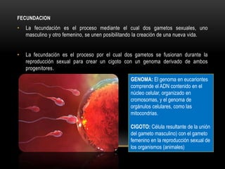 Embriologíabasicodemedicinaveterinaria.ptt