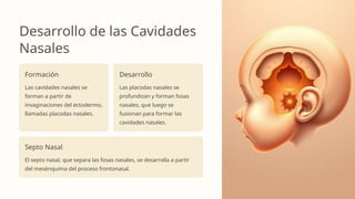 Embriologia-Desarrollo-de-la-Cara-y-el-Cuello.pptx