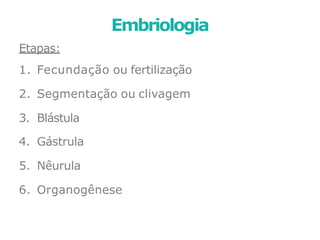Embriologia-geração.pptx................ | PPTX