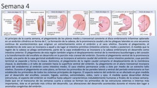 Embriologia william escobar | PPTX